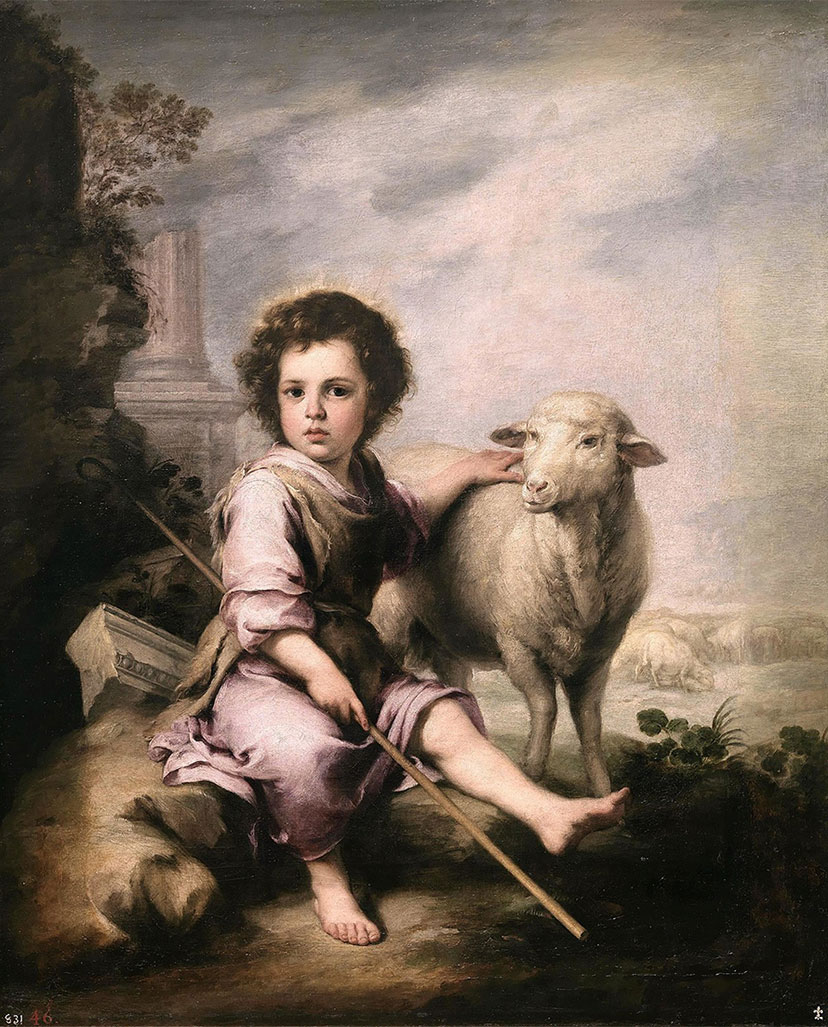 Everything You Need to Know About Merino Wool | Huckberry