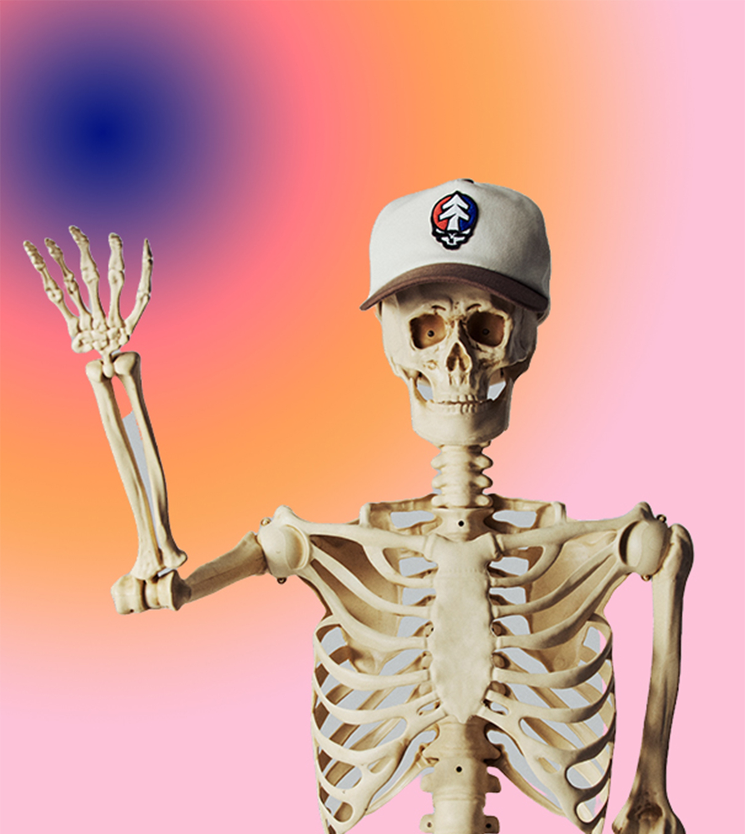 Trip of a Lifetime: How the Grateful Dead’s Acid Experience Shaped Its ...