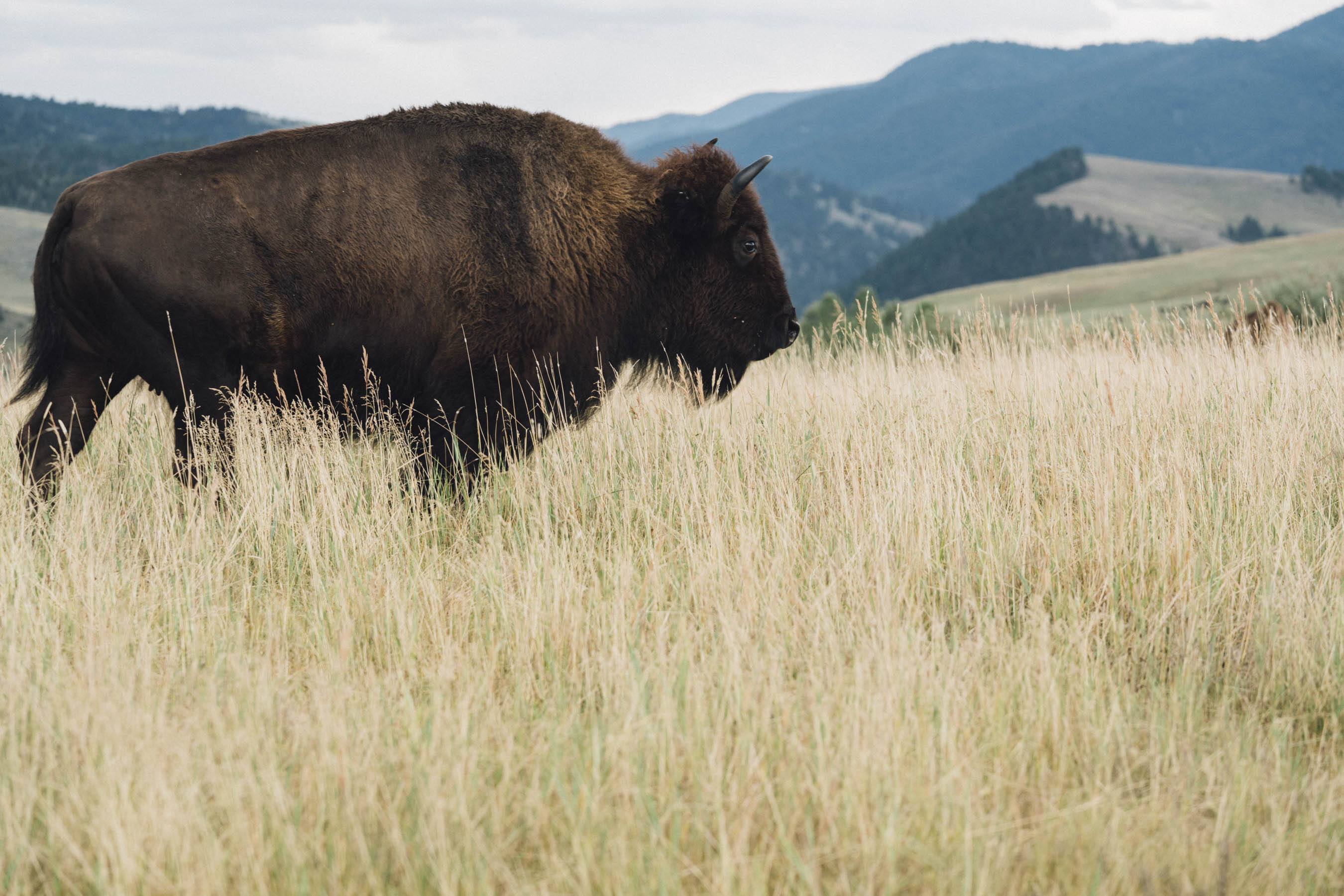 How Reading Hemingway Can Change Your Life | Huckberry