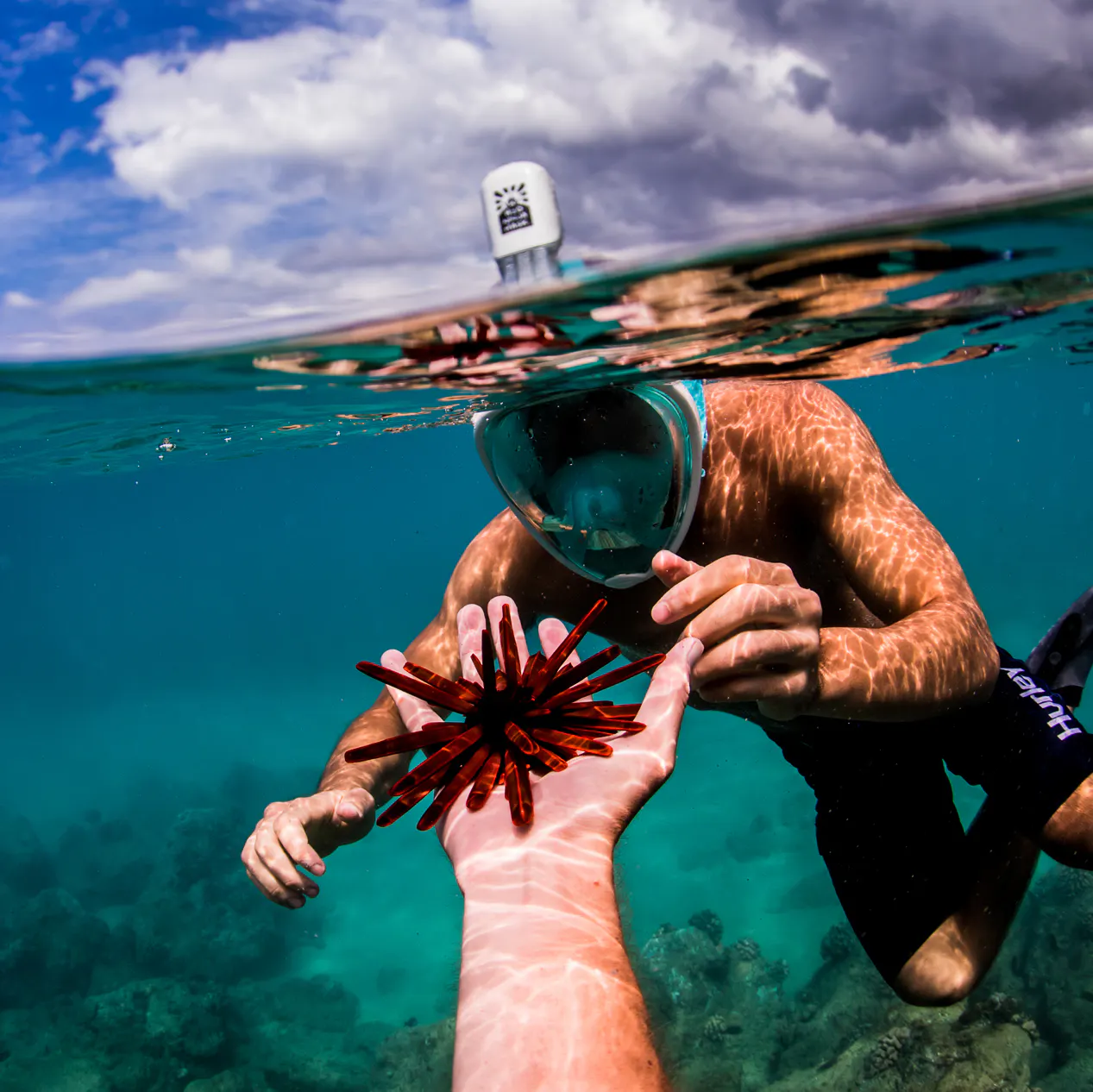 H2O Ninja Mask Full Face Snorkel Mask + Gopro Mount - Blue | Fitness ...