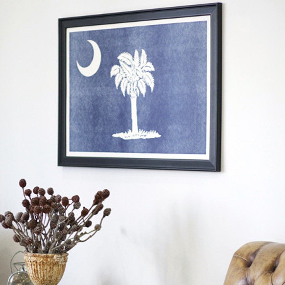 south carolina state flag coloring page