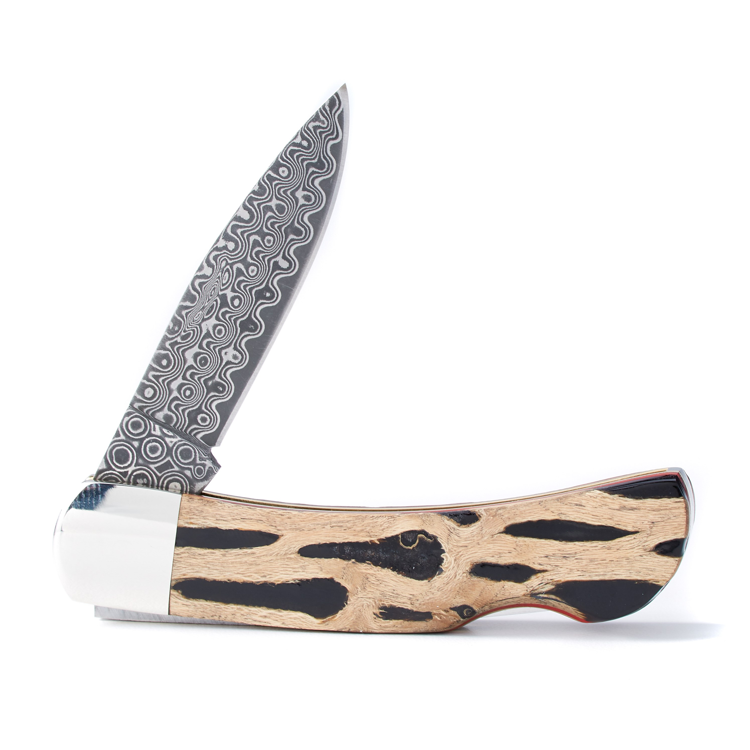 cholla cactus handle