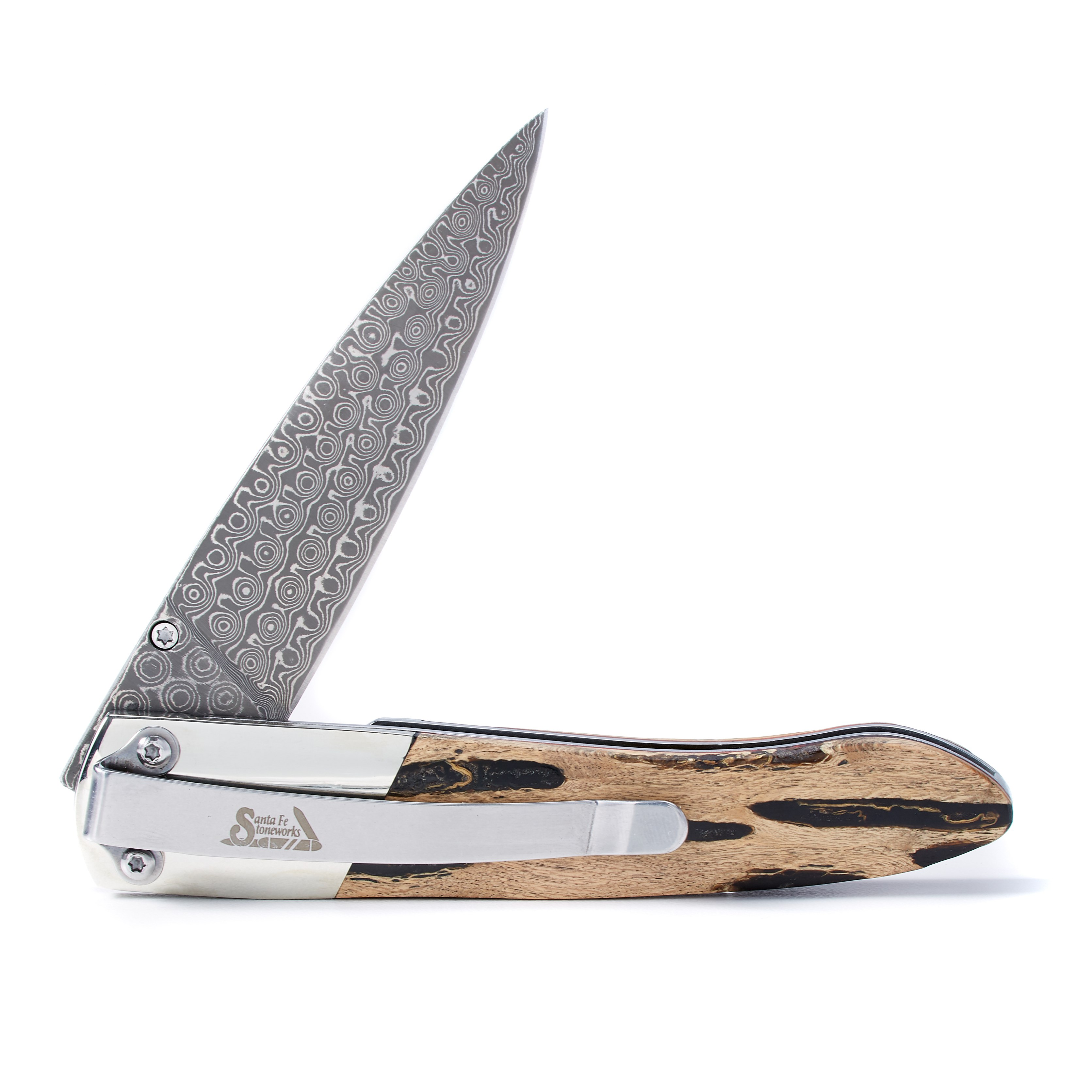 cholla cactus handle