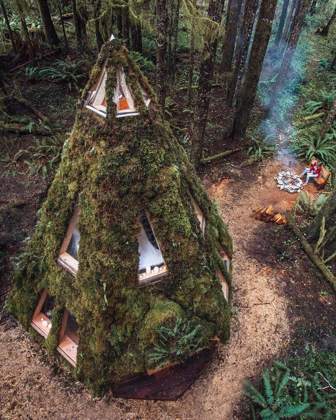 Inside Cabinland, the Pacific Northwest’s Newest Off-the-grid Paradise ...